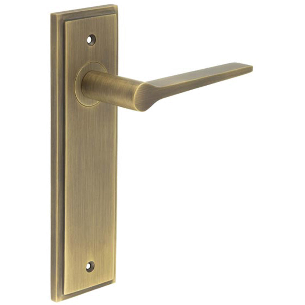 Elegant Antique Brass Door Handle Latch Backplate for Modern Homes - S ...